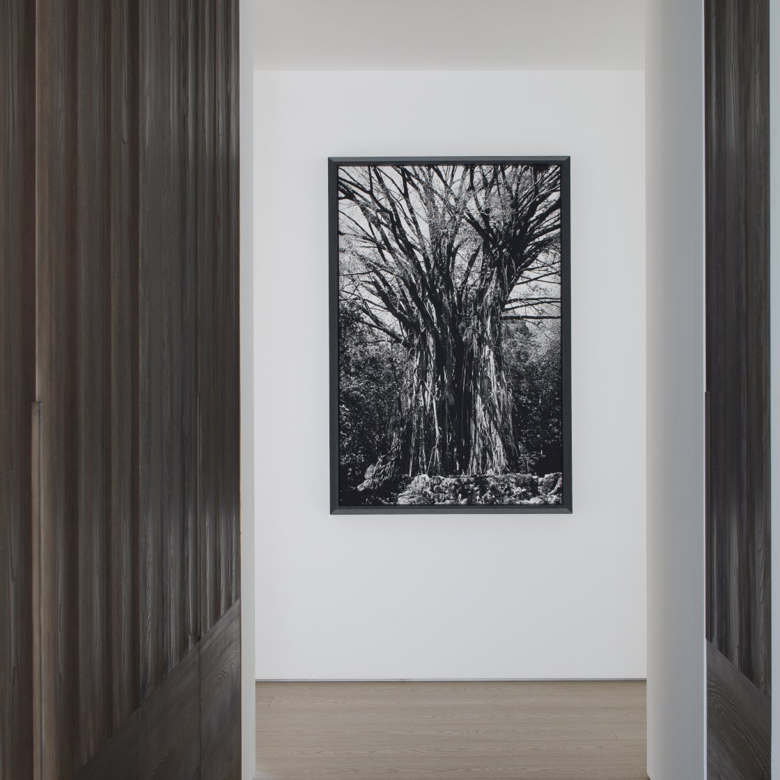 Decoration and Styling — Liaigre