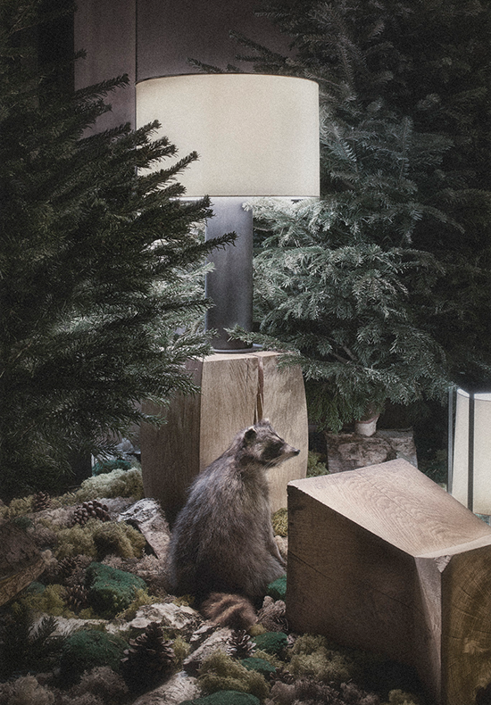 Christmas windows — Liaigre