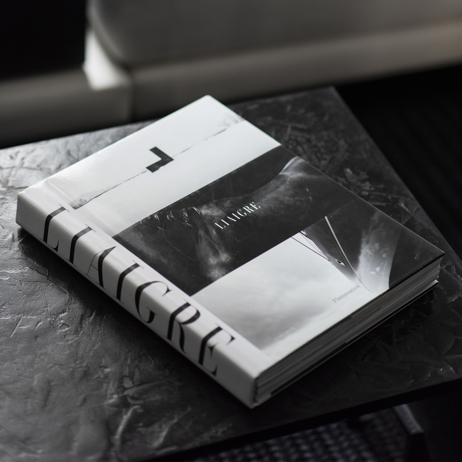 R dition Du Livre Liaigre 12 Projets Liaigre R dition Du Livre Liaigre 12 Projets Liaigre